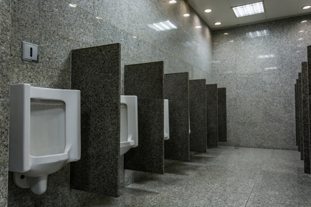 Outdoor Lavatory or Toilet Originally Called an Earth Closet: History ...